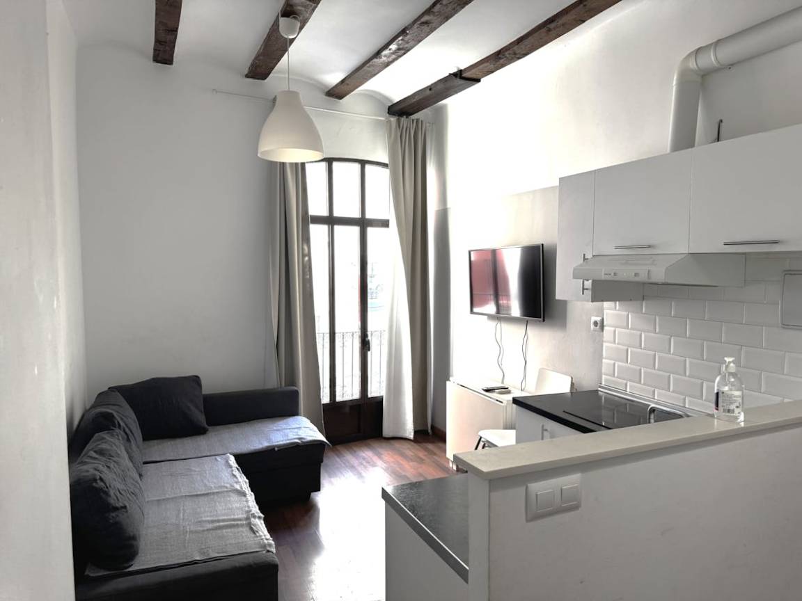 45 M² Apartment ∙ 1 Bedroom ∙ 2 Guests - Valencia