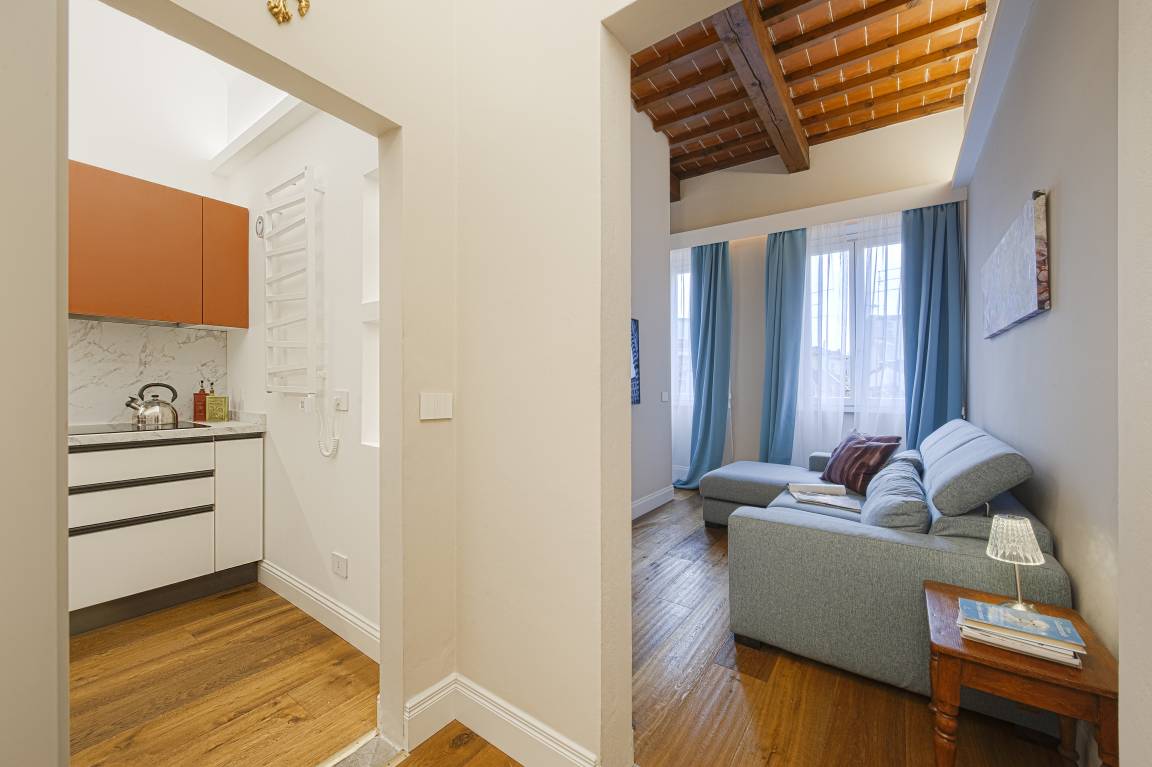 50 M² Apartment ∙ 1 Bedroom ∙ 2 Guests - Florence