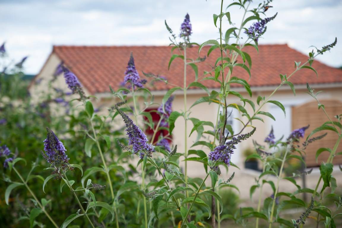 80 M² Gîte ∙ 2 Chambres ∙ 4 Personnes - Périgord