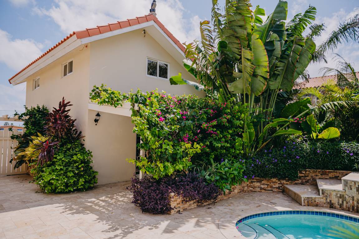 45 M² Apartment ∙ 1 Bedroom ∙ 3 Guests - Caribbean