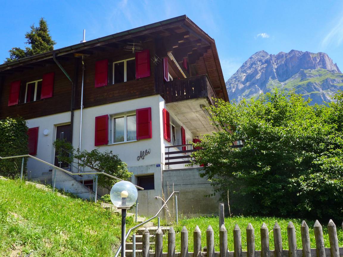 60 M² Apartment ∙ 1 Bedroom ∙ 4 Guests - Grindelwald