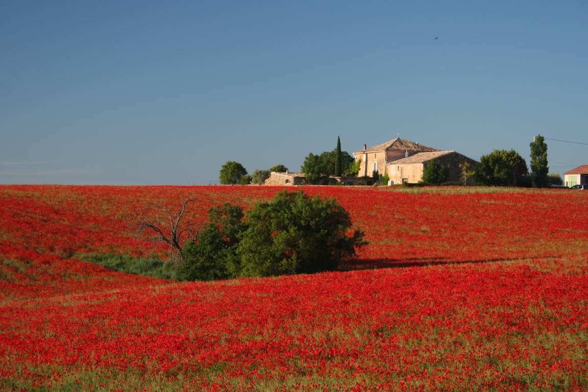 70 M² House ∙ 3 Bedrooms ∙ 6 Guests - Valensole
