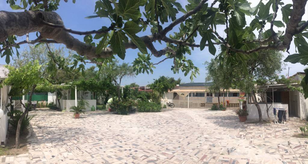 50 M² Apartment ∙ 2 Bedrooms ∙ 4 Guests - Vieste