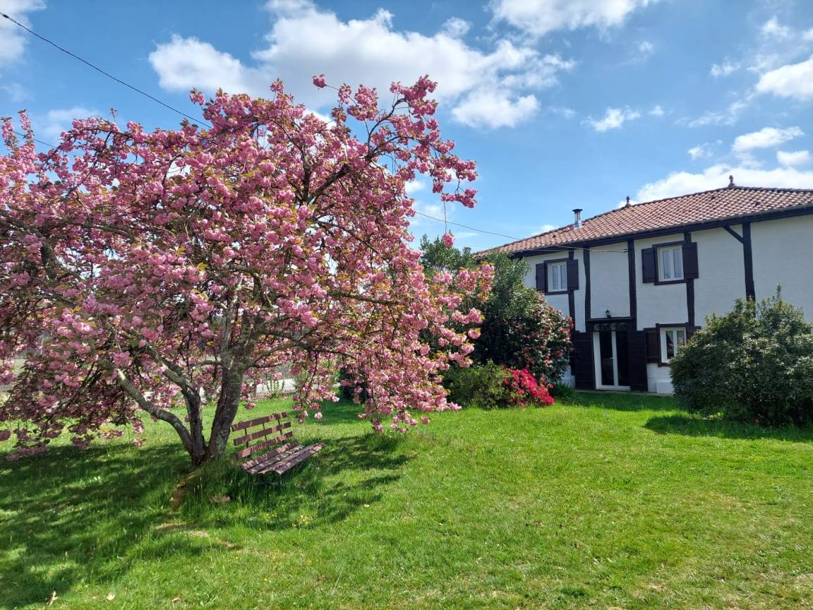 230 M² Maison De Vacances ∙ 4 Chambres ∙ 8 Personnes - Linxe