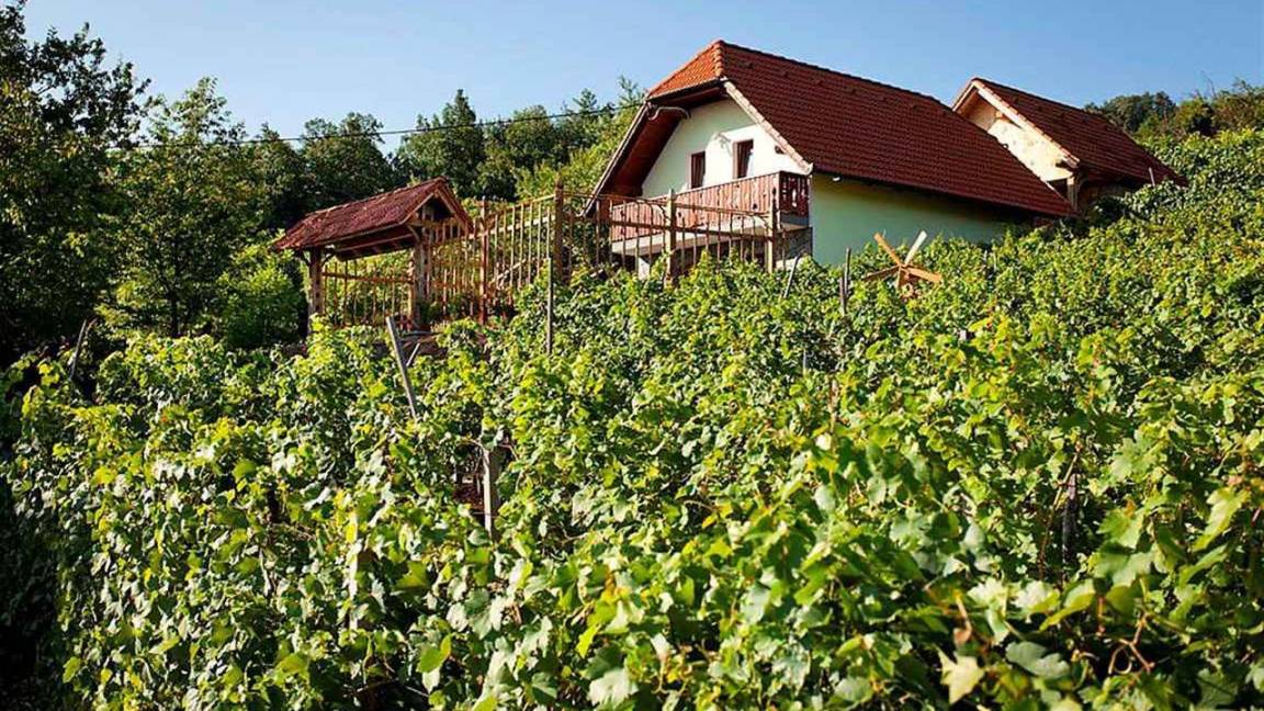 48 M² House ∙ 2 Bedrooms ∙ 3 Guests - Novo mesto