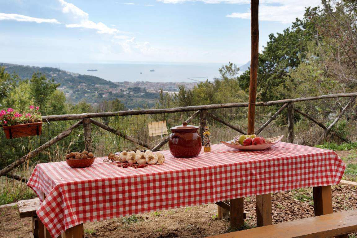 30 M² Camping ∙ 1 Bedroom ∙ 4 Guests - Campania