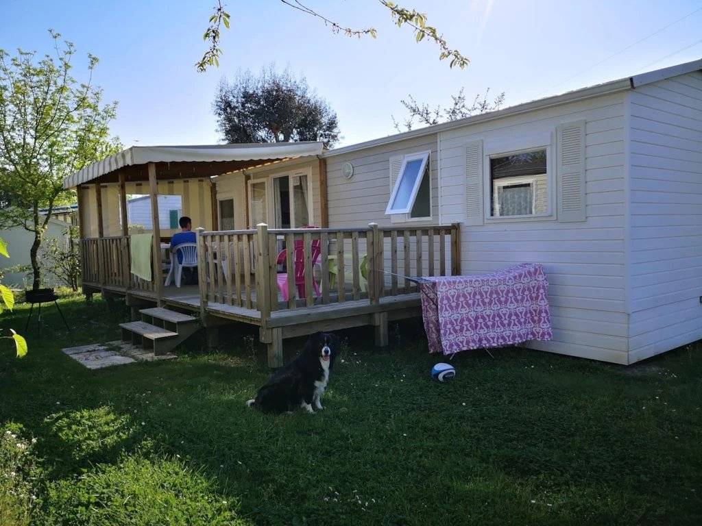 38 평방 미터 캠핑 ∙ 침실 4개 ∙ 게스트 8명 - 샬렁