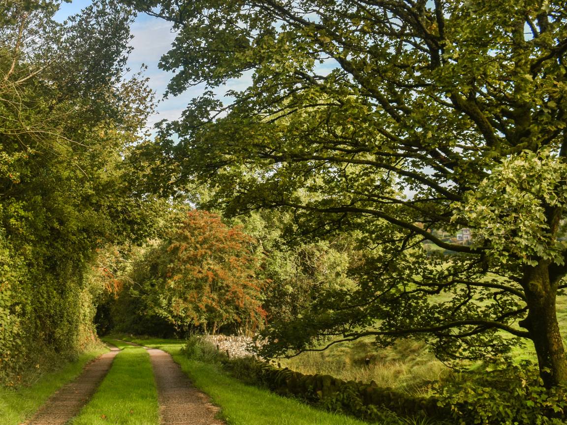 Cottage ∙ 2 Bedrooms ∙ 4 Guests - Lancashire