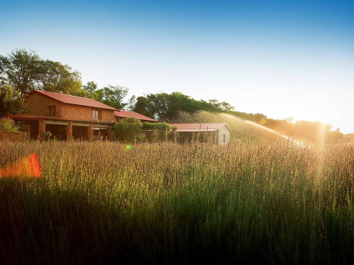 120 M² Cottage ∙ 2 Bedrooms ∙ 1 Guest - Hartbeespoort