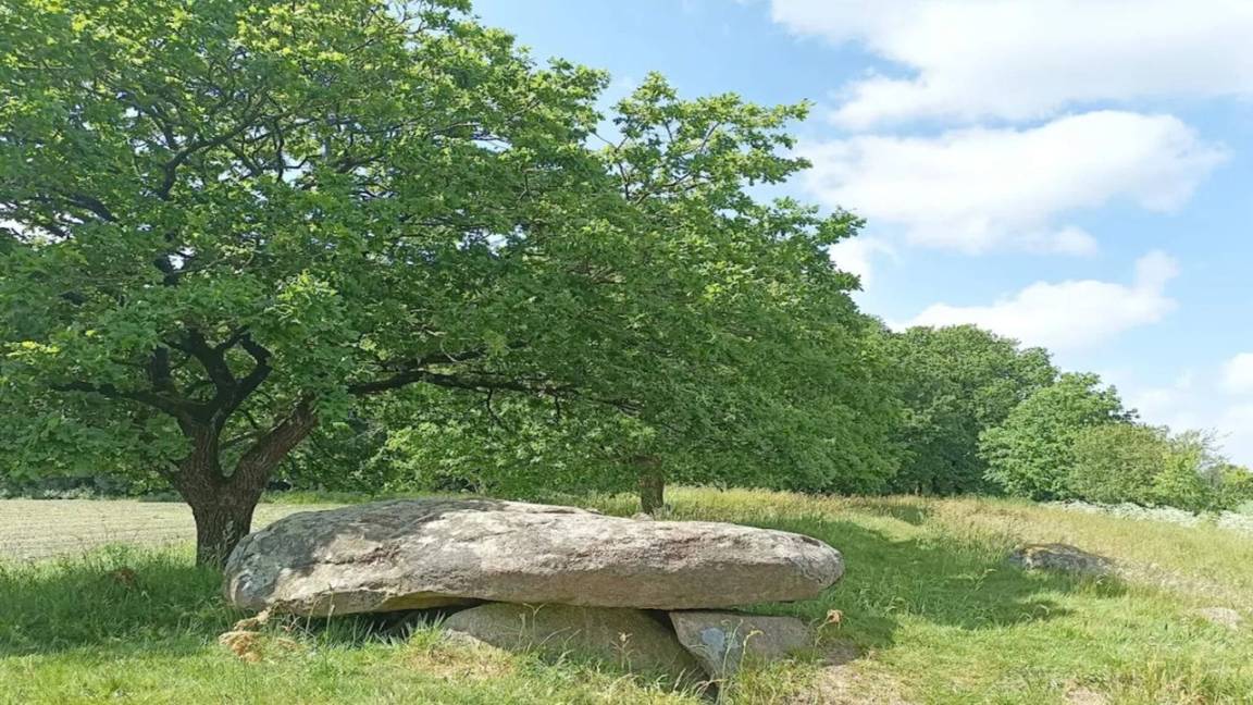 45 M² Talo ∙ 1 Makuuhuone ∙ 4 Vierasta - Billund