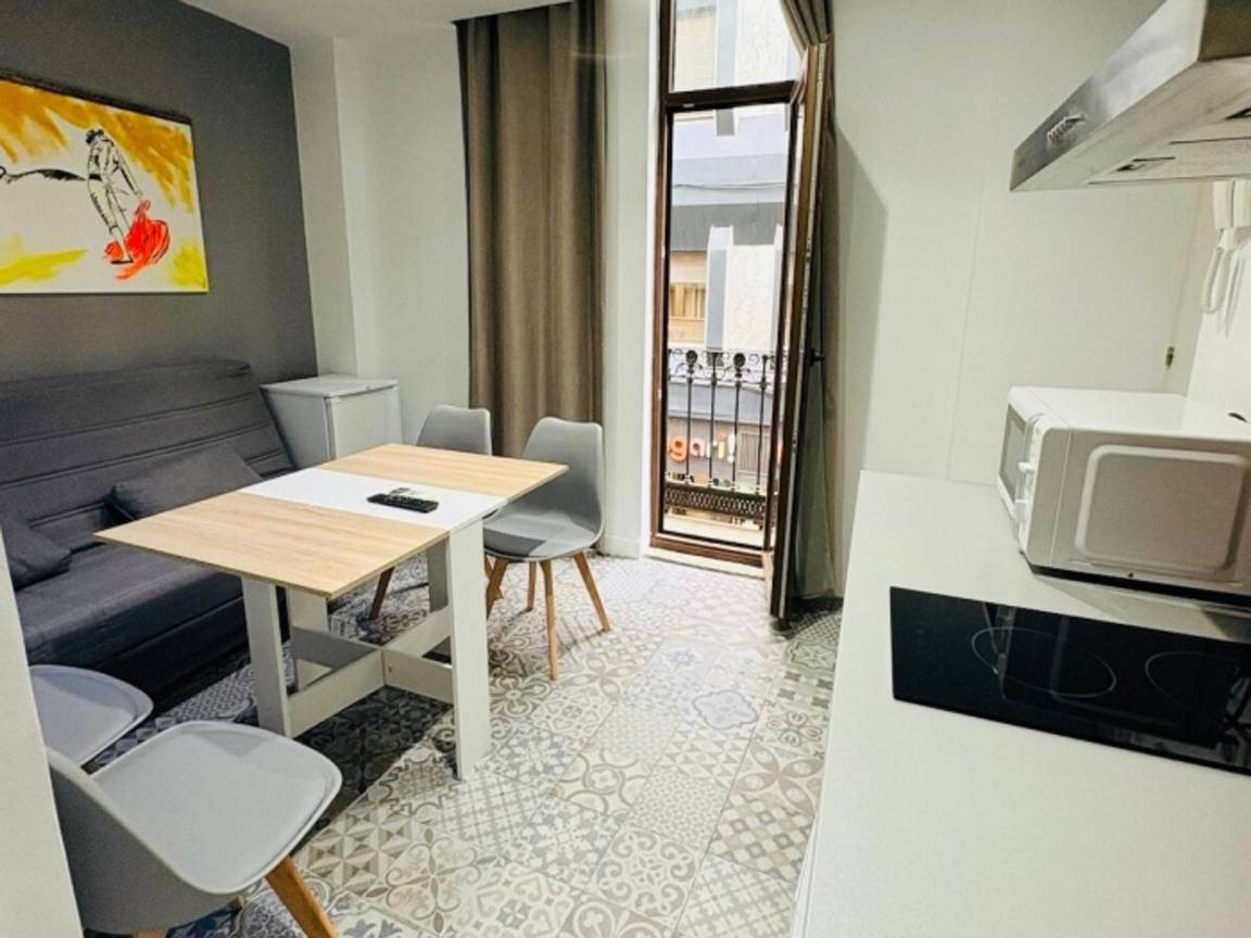59 M² Apartment ∙ 1 Bedroom ∙ 4 Guests - Granada