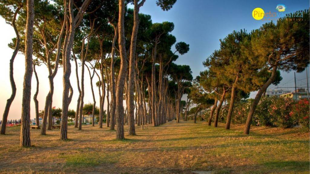 50 M² Ferienwohnung ∙ 2 Schlafzimmer ∙ 5 Gäste - Pineto