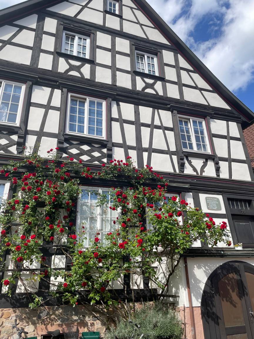 45 M² Appartement ∙ 1 Chambre ∙ 2 Personnes - Gengenbach