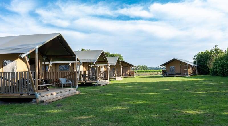 Tent ∙ 2 Bedrooms ∙ 4 Guests - Oisterwijk