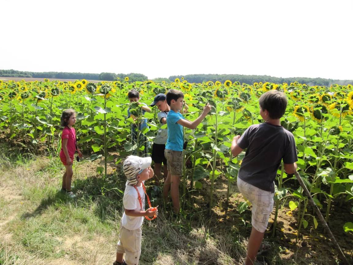 35 M² Asuntovaunu ∙ 3 Makuuhuonetta ∙ 6 Vierasta - Onzain