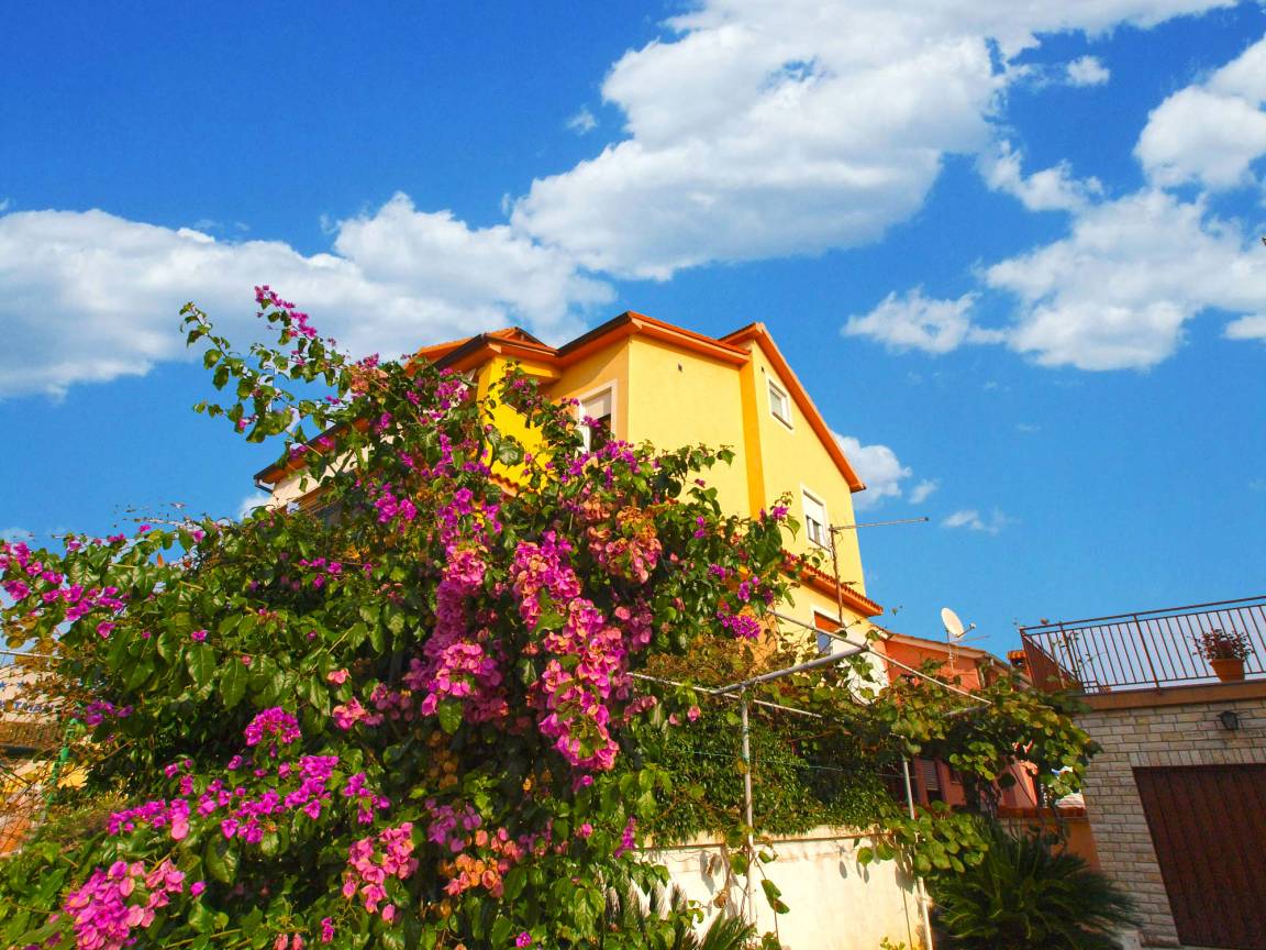 50 M² Apartment ∙ 1 Bedroom ∙ 4 Guests - Pula