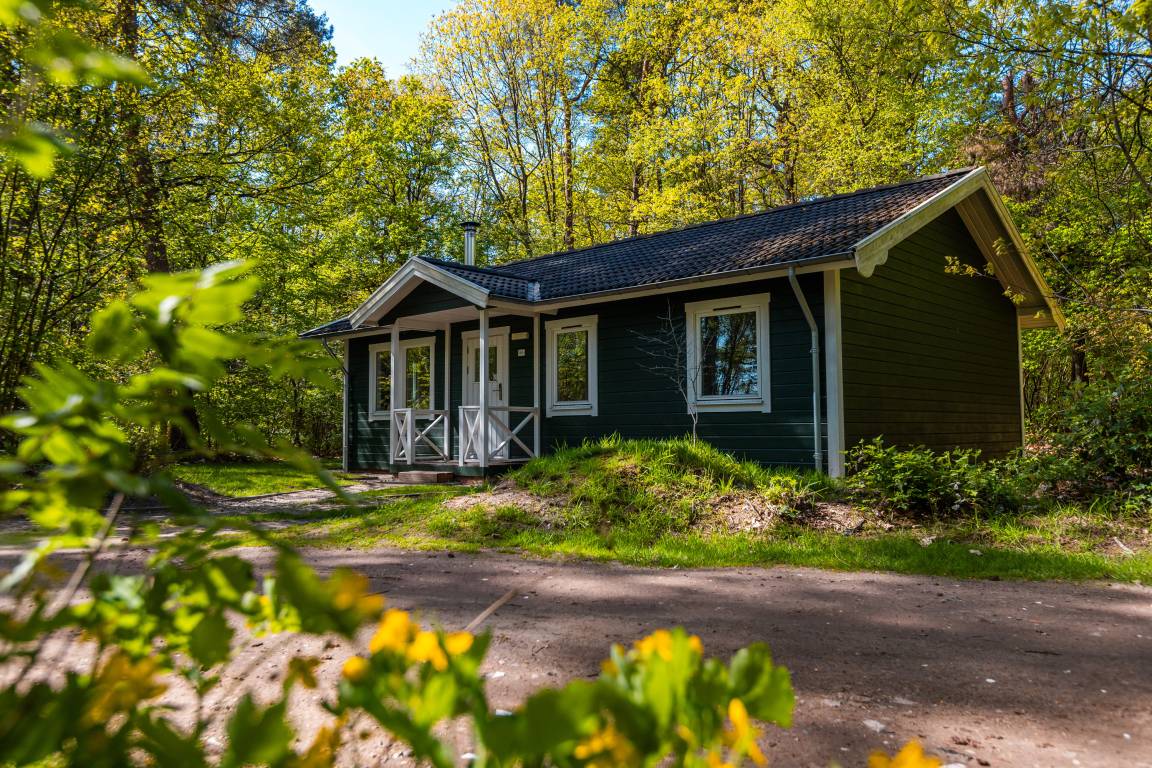 75 M² Bungalow ∙ 3 Schlafzimmer ∙ 6 Gäste - Drenthe