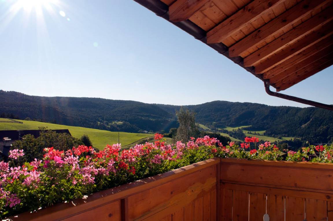 38 M² Apartamento ∙ 1 Habitación ∙ 3 Huéspedes - Bolzano