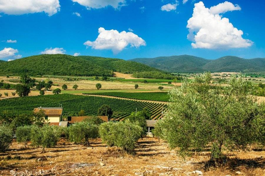 110 M² Longère ∙ 3 Chambres ∙ 9 Personnes - Grosseto