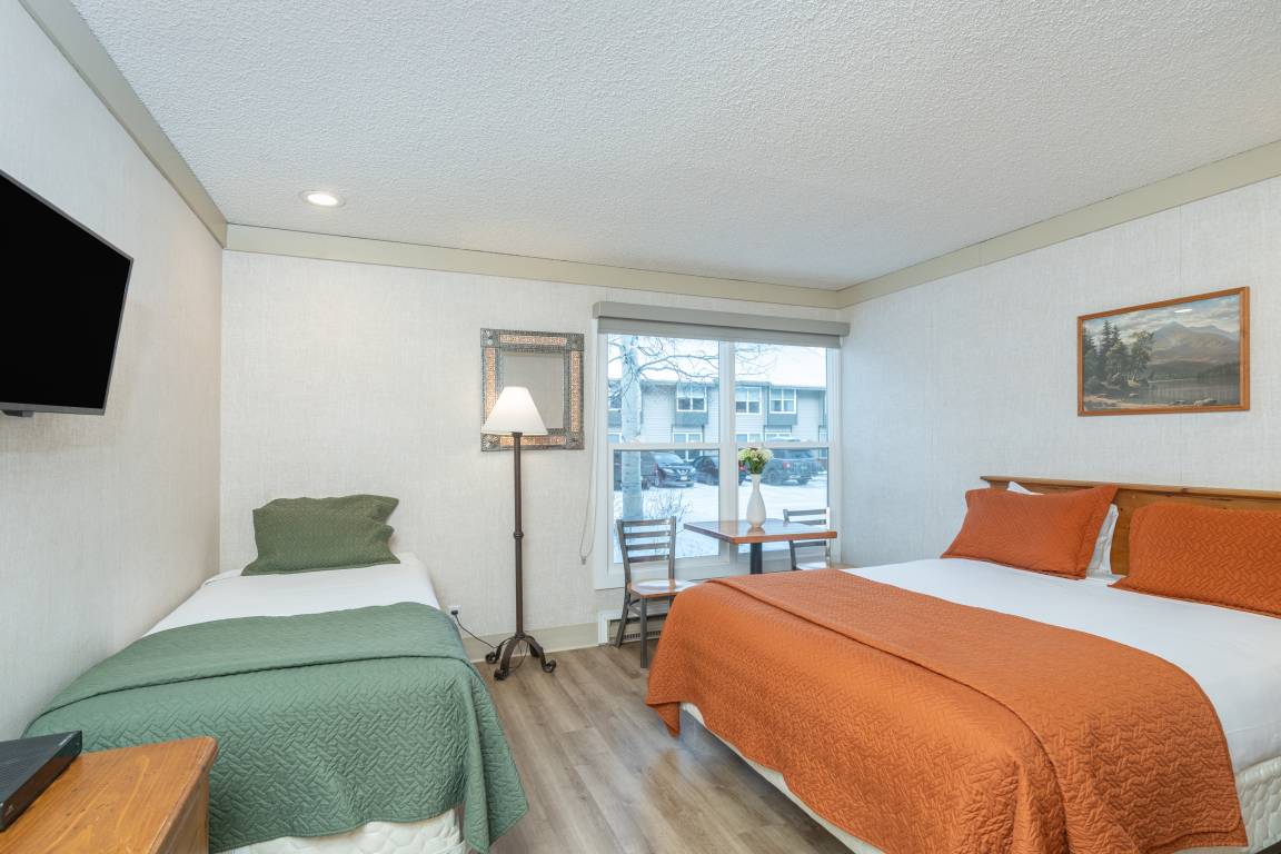 25 M² Hôtel ∙ 1 Chambre ∙ 3 Personnes - Telluride, CO