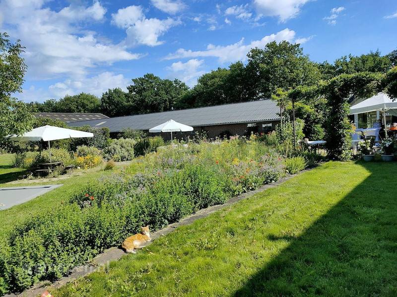 Maison De Vacances ∙ 4 Chambres ∙ 24 Personnes - 's-Hertogenbosch