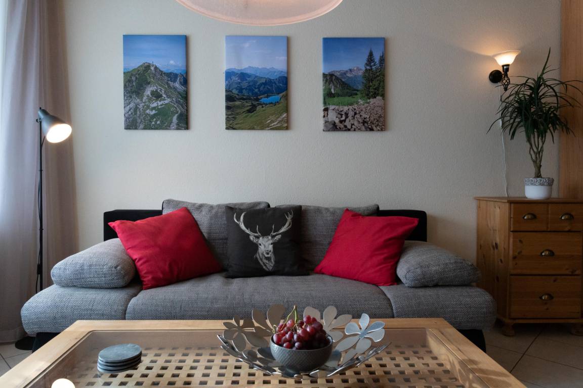 40 M² Apartamento ∙ 1 Habitación ∙ 2 Huéspedes - Obermaiselstein