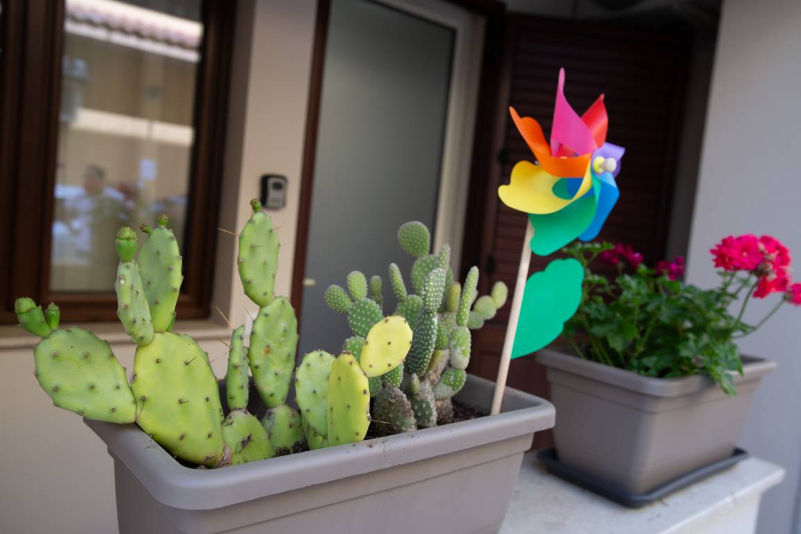 55 M² Apartment ∙ 1 Bedroom ∙ 3 Guests - Balestrate