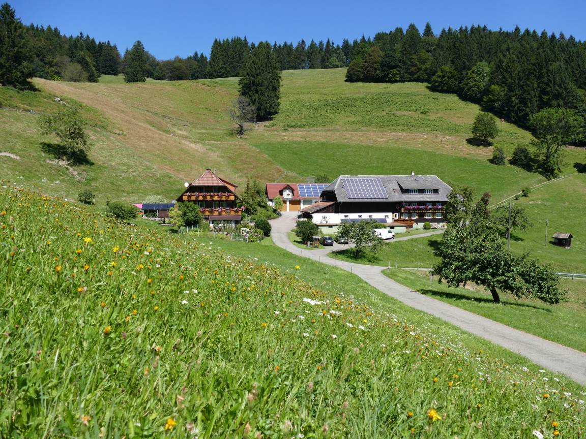 35 M² Ferienwohnung ∙ 1 Schlafzimmer ∙ 3 Gäste - Münstertal/Schwarzwald