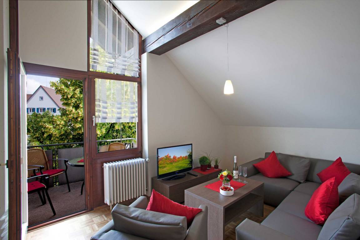 100 M² Apartment ∙ 2 Bedrooms ∙ 6 Guests - Wasserburg am Bodensee