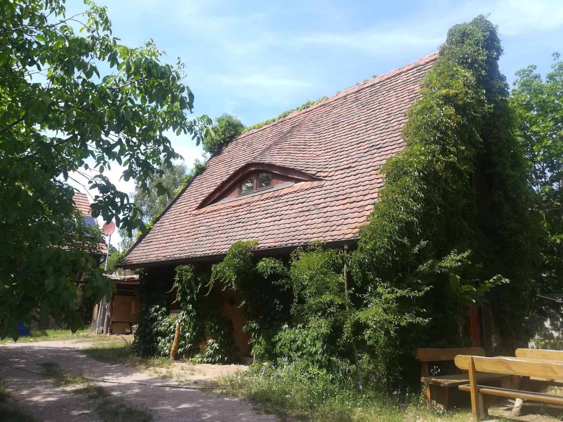 65 M² Ferienhaus ∙ 2 Schlafzimmer ∙ 5 Gäste - Seddiner See
