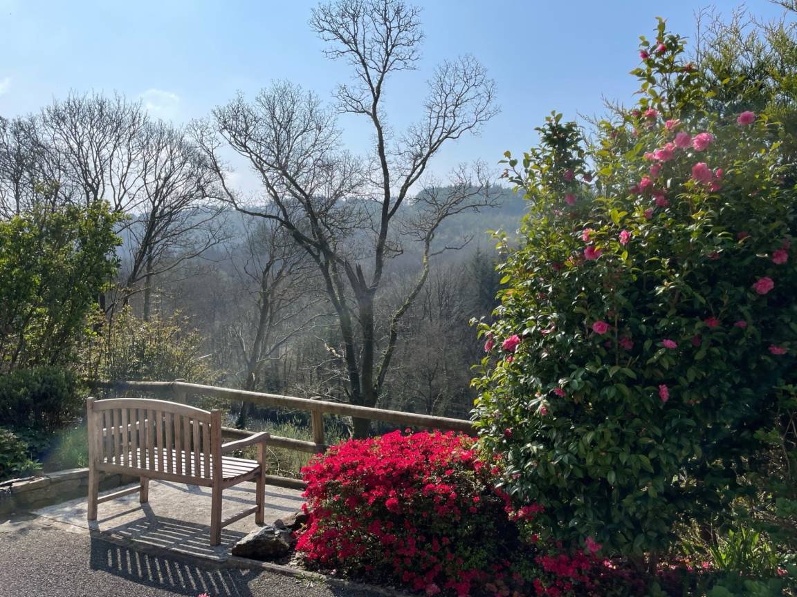 Cottage ∙ 2 Bedrooms ∙ 4 Guests - Lostwithiel