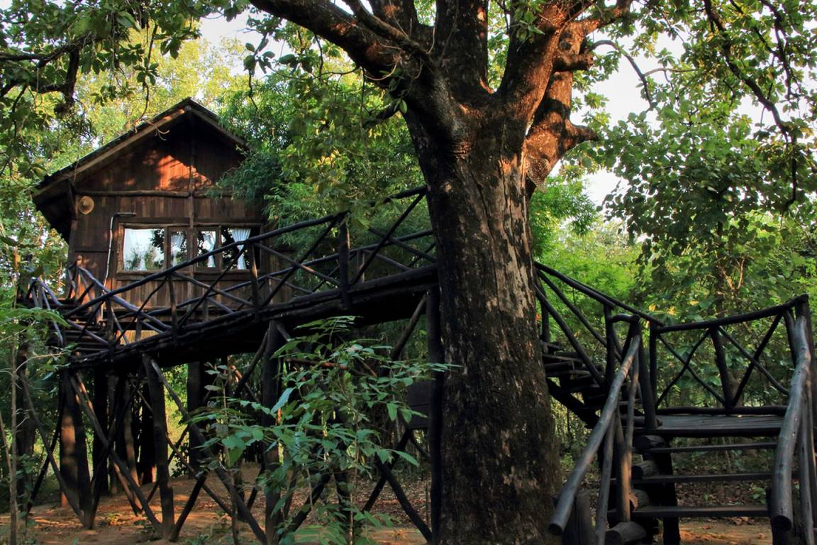 Camping ∙ 1 Bedroom ∙ 3 Guests - Bandhavgarh National Park