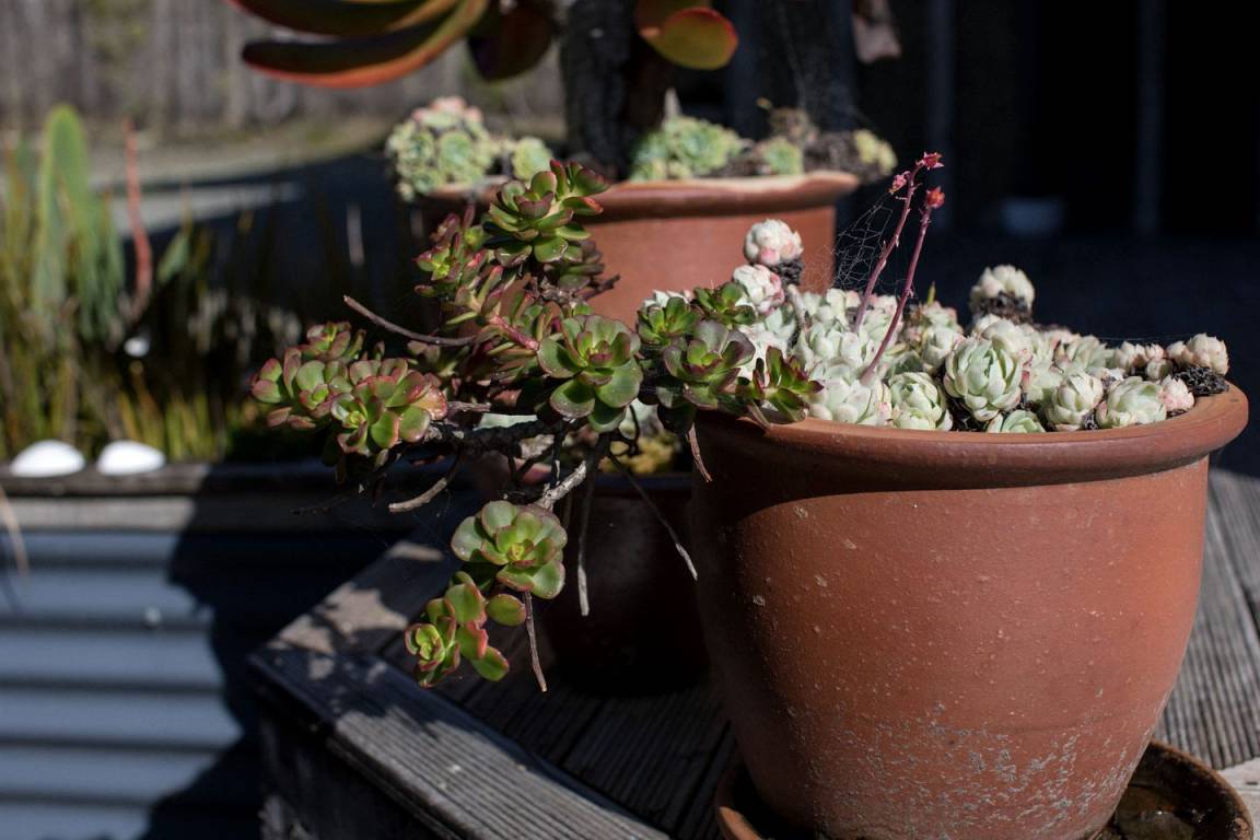 House ∙ 1 Bedroom ∙ 2 Guests - West Coast