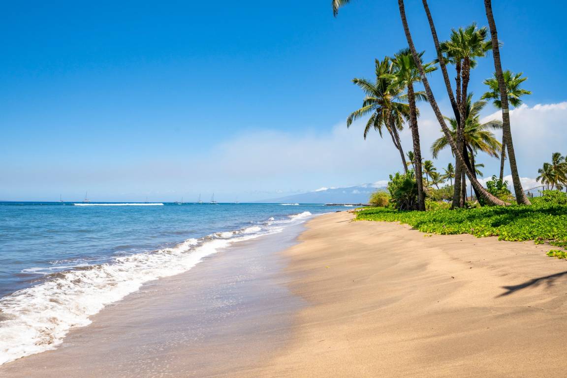 45 M² Apartment ∙ 1 Bedroom ∙ 2 Guests - Lahaina Beach, HI