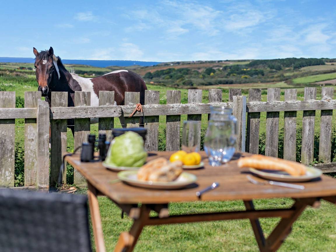Cottage ∙ 1 Bedroom ∙ 2 Guests - Sennen