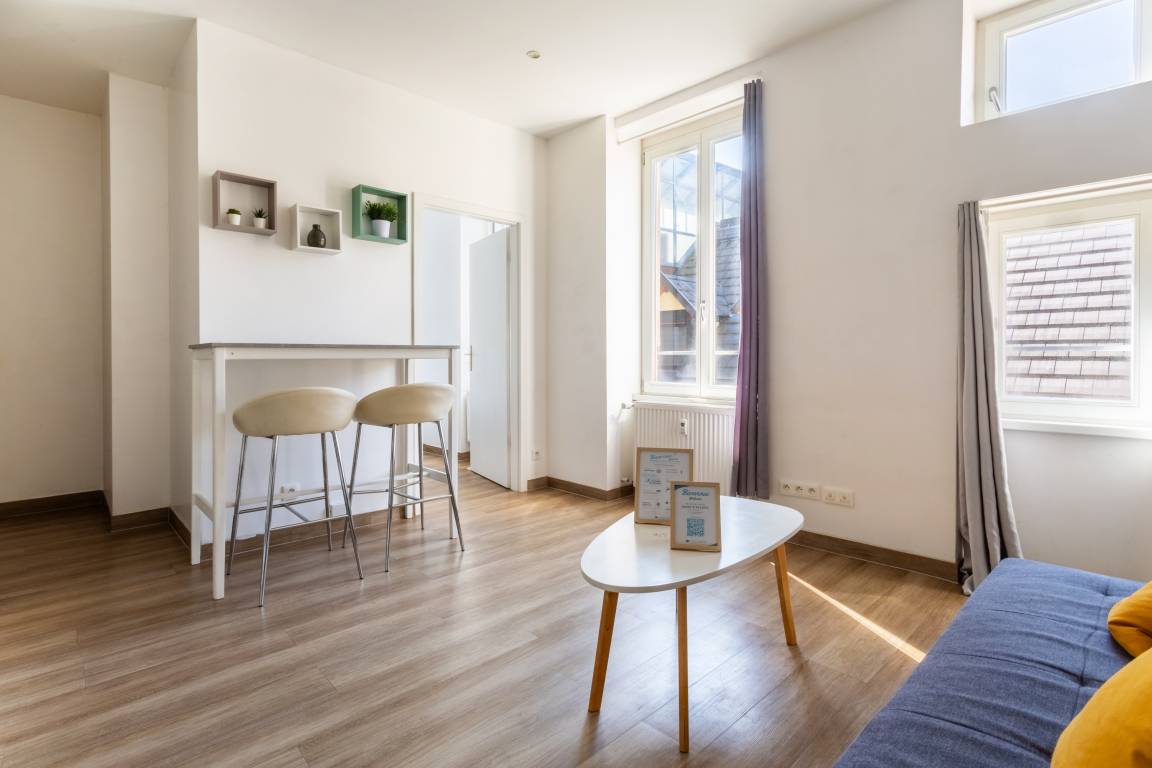 32 M² Appartement ∙ 1 Chambre ∙ 2 Personnes - Gare de Strasbourg Ville