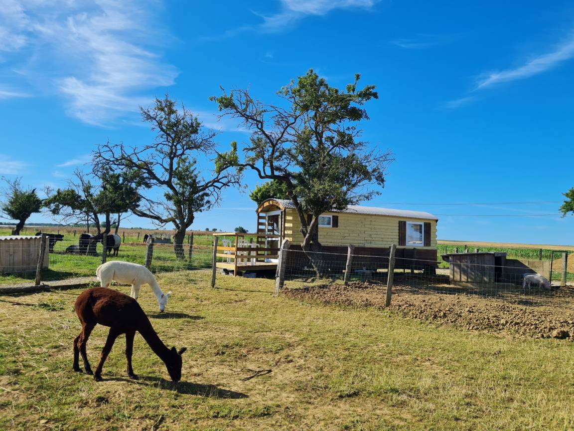17 M² Cottage ∙ 1 Chambre ∙ 4 Personnes - Nancy