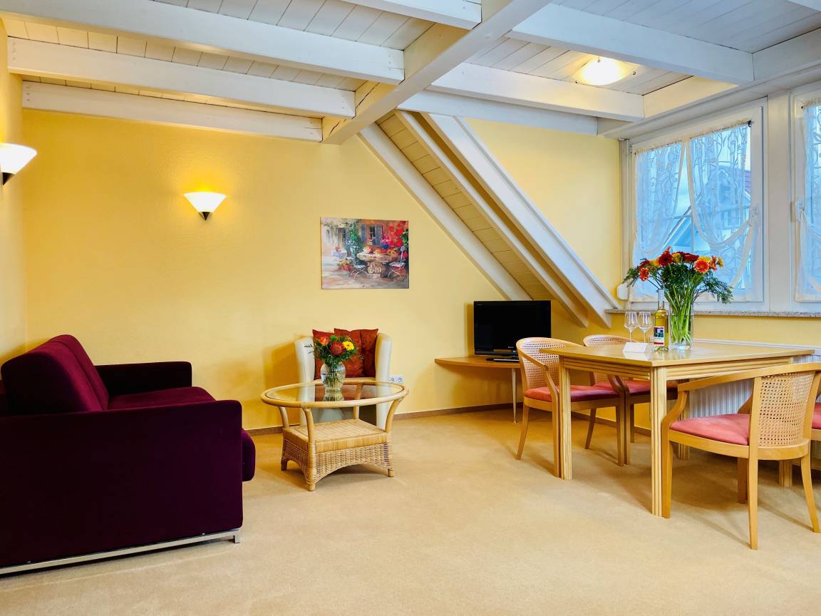 Apartment ∙ 1 Bedroom ∙ 4 Guests - Friedrichshafen