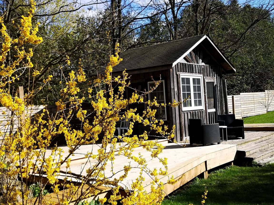 Maison De Vacances ∙ 1 Chambre ∙ 2 Personnes - Milton