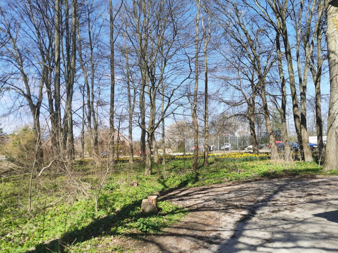 120 M² Apartment ∙ 3 Bedrooms ∙ 8 Guests - Dahme