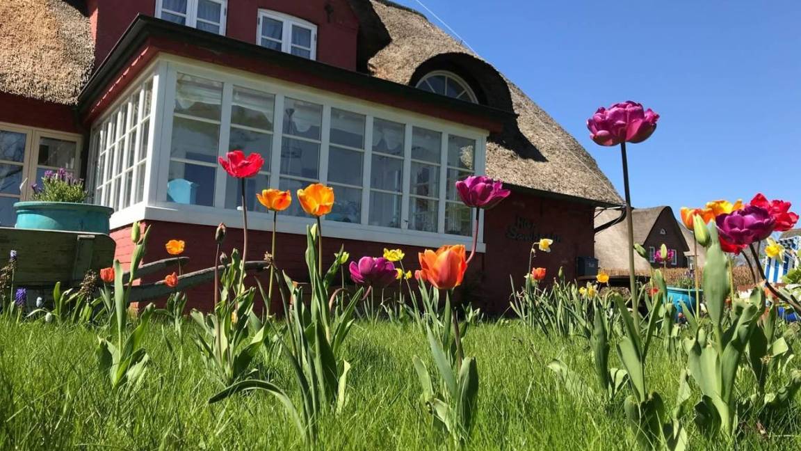 35 M² Ferienwohnung ∙ 1 Schlafzimmer ∙ 2 Gäste - Amrum