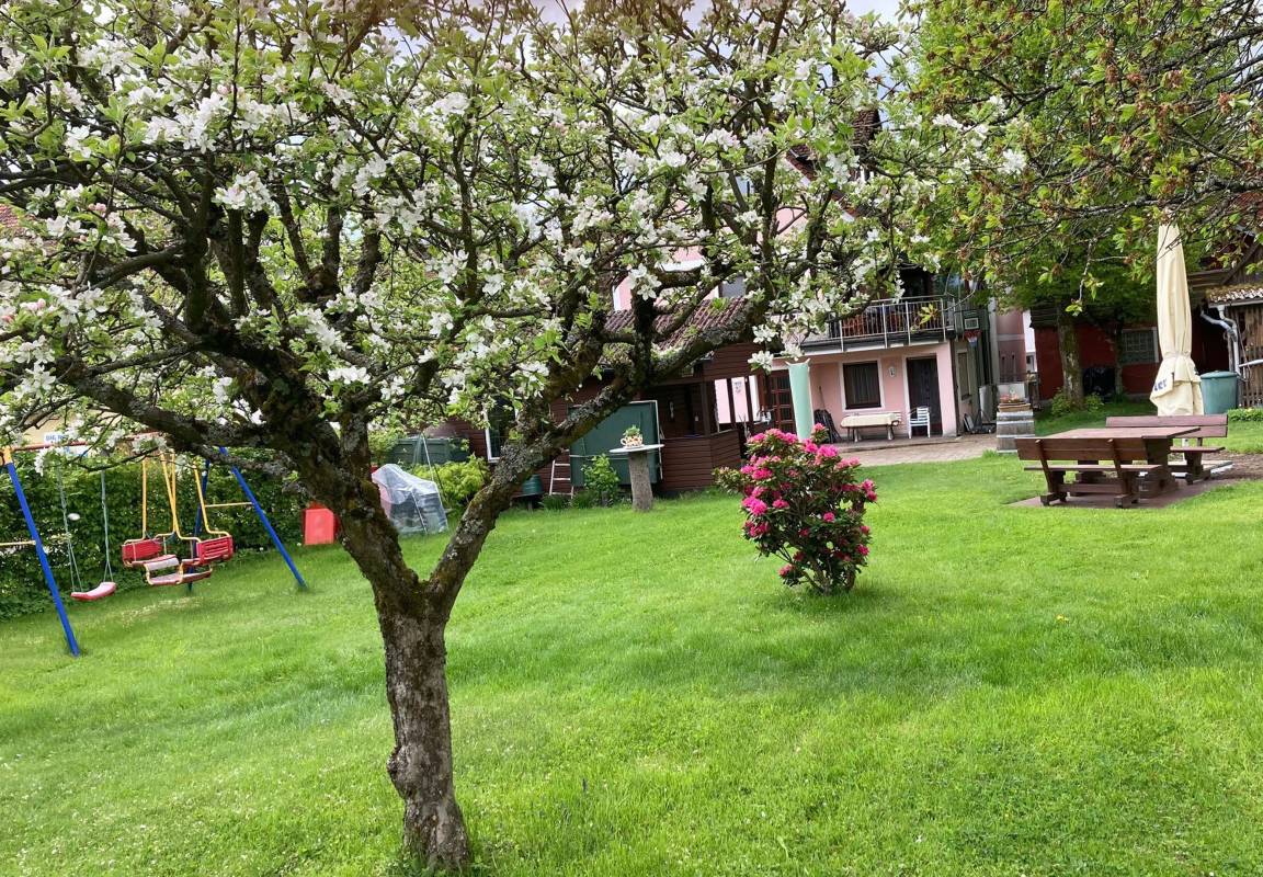 Ferienwohnung ∙ 1 Schlafzimmer ∙ 3 Gäste - Reichenschwand