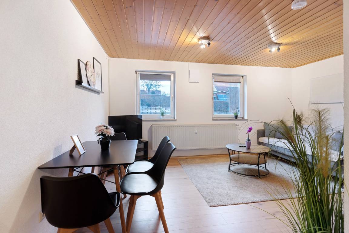 36 M² Apartment ∙ 1 Bedroom ∙ 3 Guests - Donaueschingen