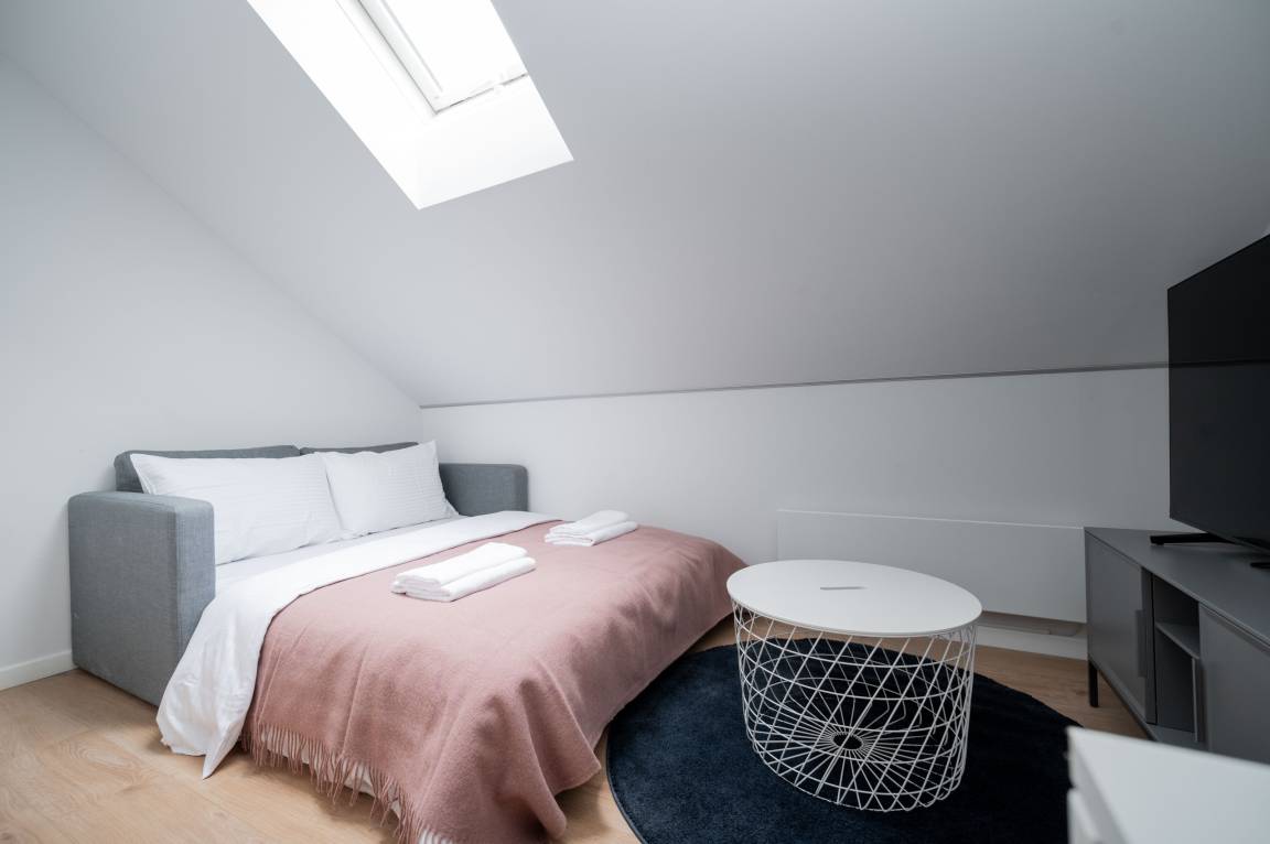 20 M² Apartment ∙ 1 Bedroom ∙ 2 Guests - Vilnius