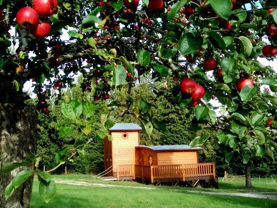 40 M² Cottage ∙ 2 Chambres ∙ 4 Personnes - Alençon