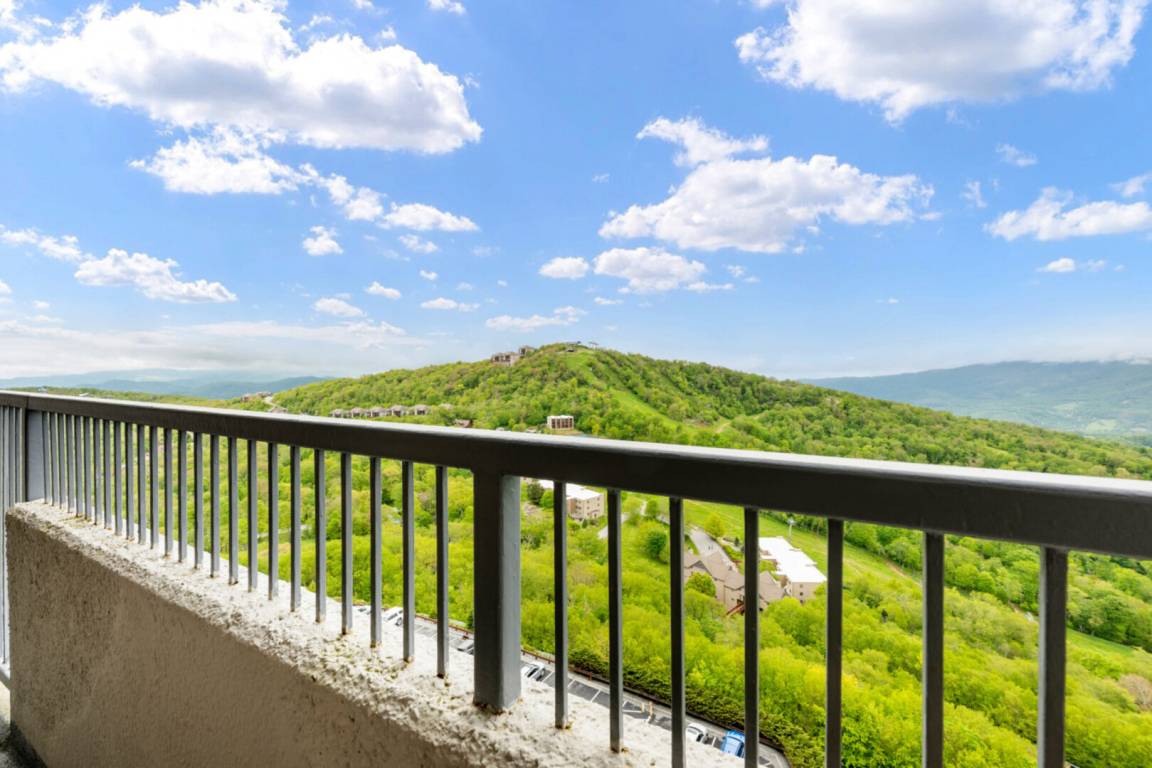 70 M² Condo ∙ 2 Bedrooms ∙ 4 Guests - Roan Mountain, TN