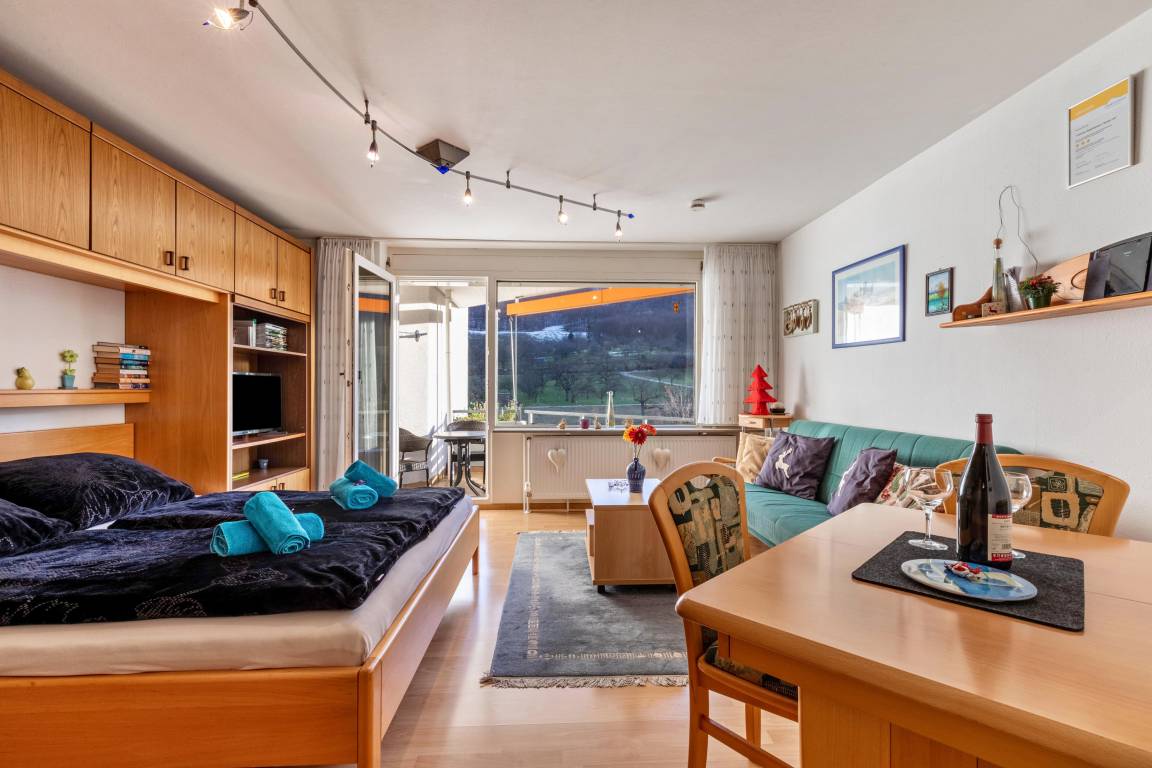 36 M² Studio ∙ 1 Schlafzimmer ∙ 2 Gäste - Nürtingen