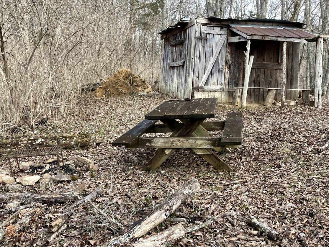 House ∙ 1 Bedroom ∙ 4 Guests - Townsend, TN