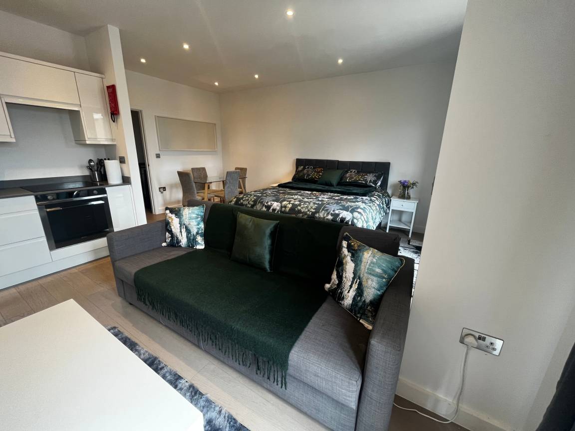 55 M² Studio Flat ∙ 1 Bedroom ∙ 4 Guests - University of Hertfordshire