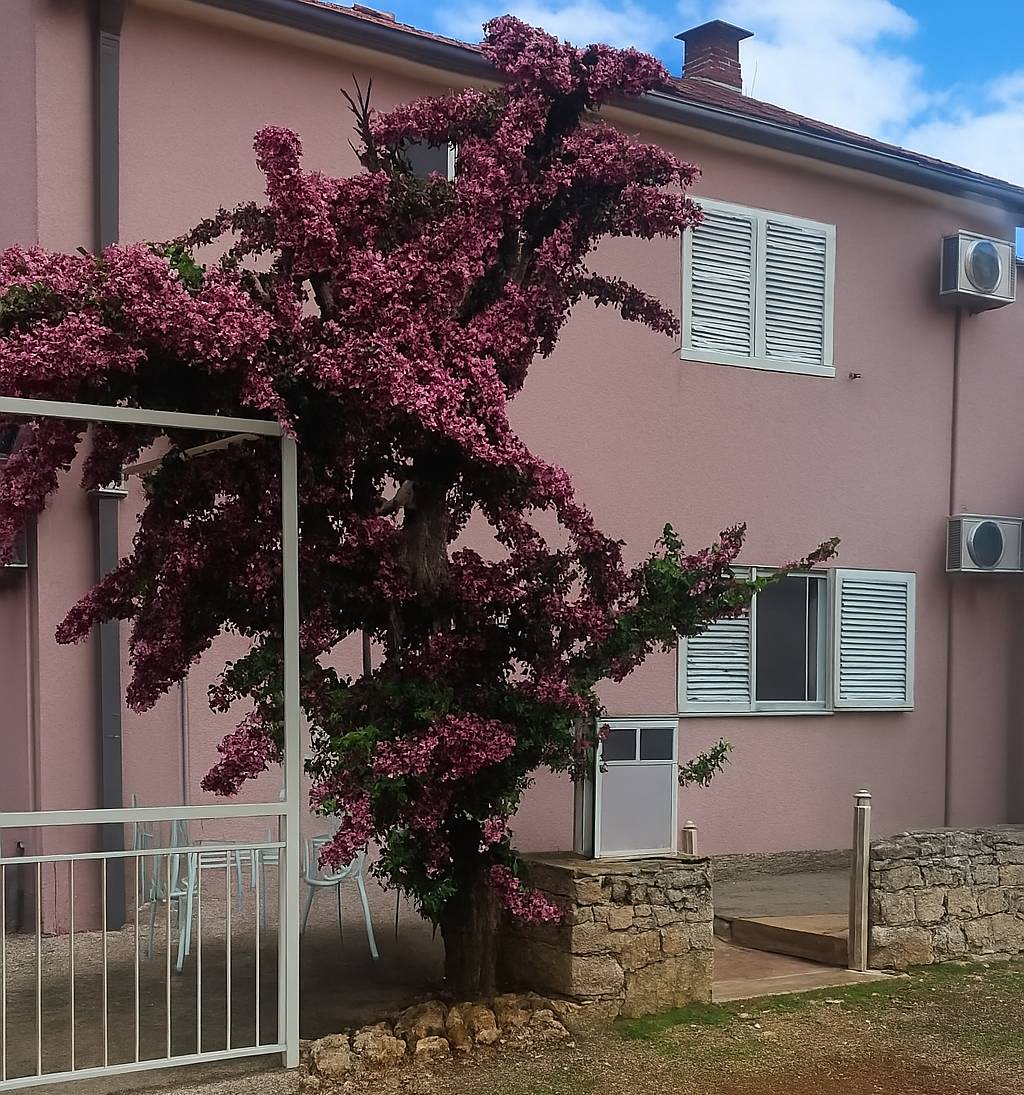 Ferienhaus ∙ 4 Schlafzimmer ∙ 8 Gäste - Supetar